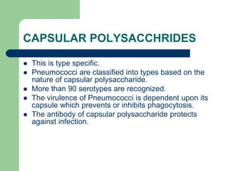 Pneumococcus | PPT