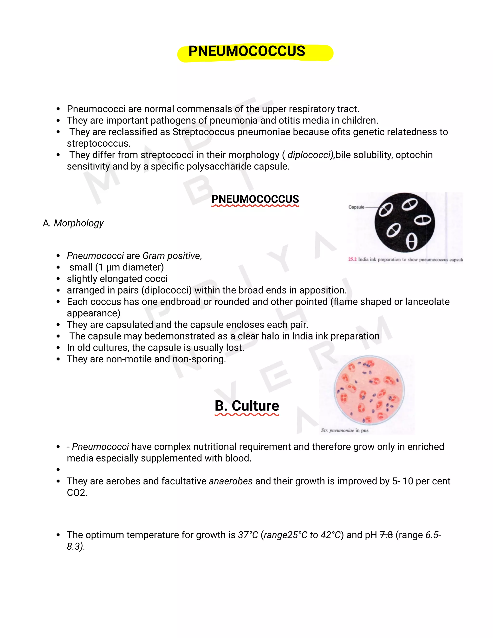 Pneumococcus (microbiology) | PDF