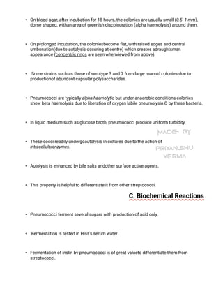 Pneumococcus (microbiology) | PDF