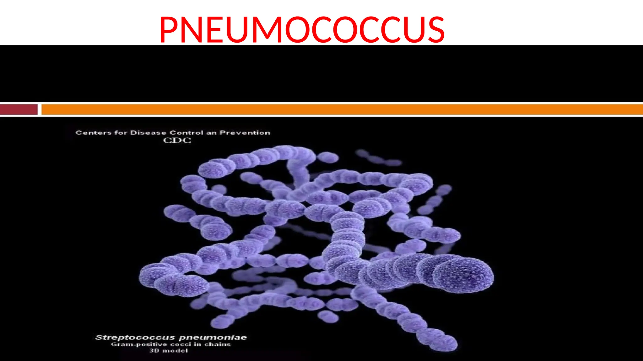 PNEUMOCOCCUS, INFLUENZA, TYPHOIDvaccines.pptx