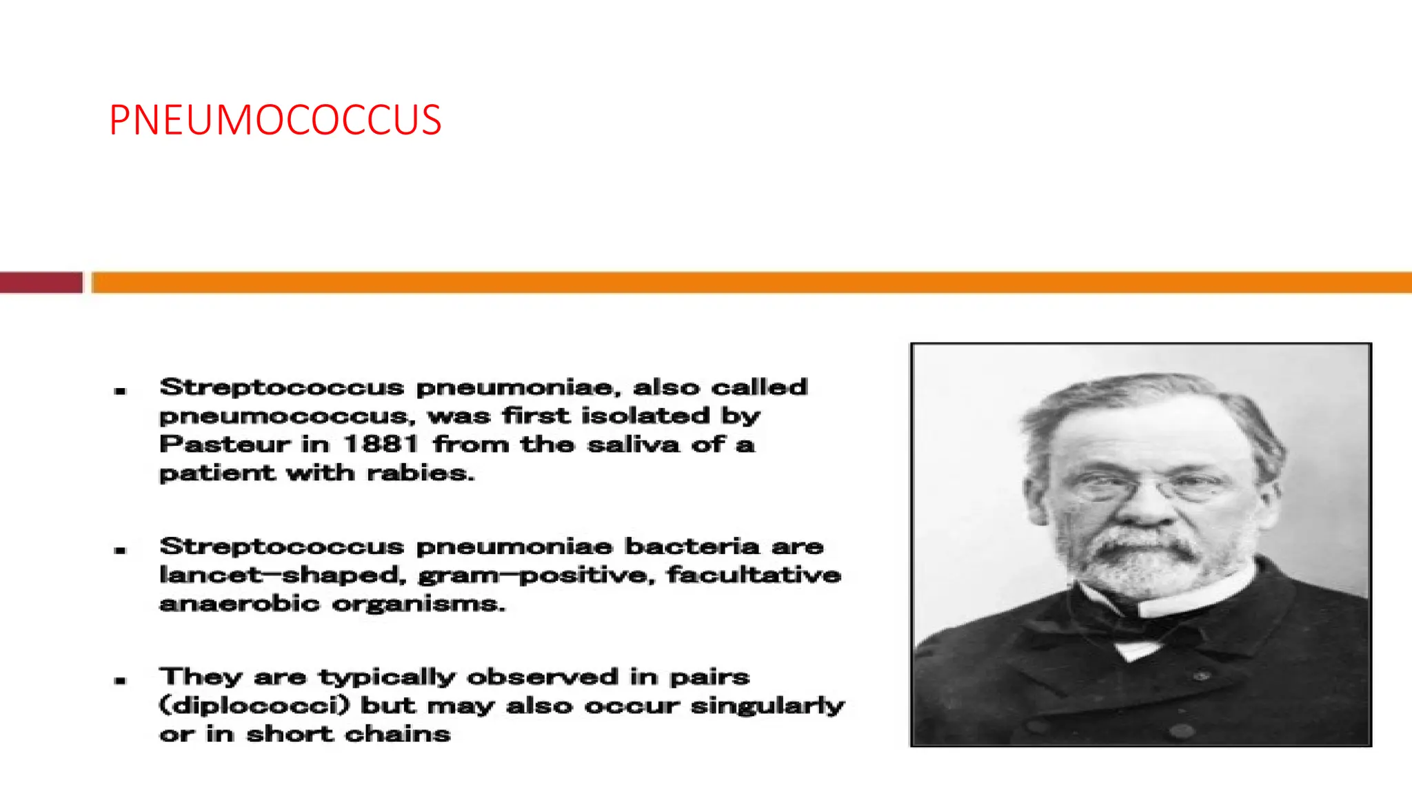 PNEUMOCOCCUS, INFLUENZA, TYPHOIDvaccines.pptx