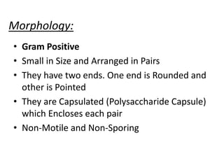 Pneumococcus (Morphology & Pathogenesis) | PPTX