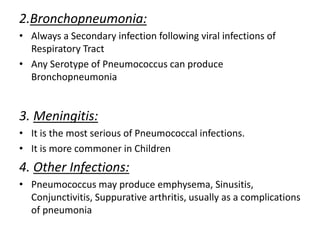 Pneumococcus (Morphology & Pathogenesis) | PPTX