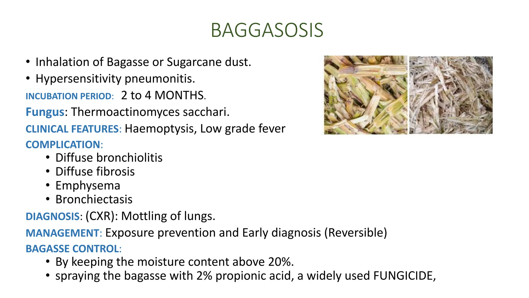 PNEUMOCONIOSIS and its preventive measures.pptx