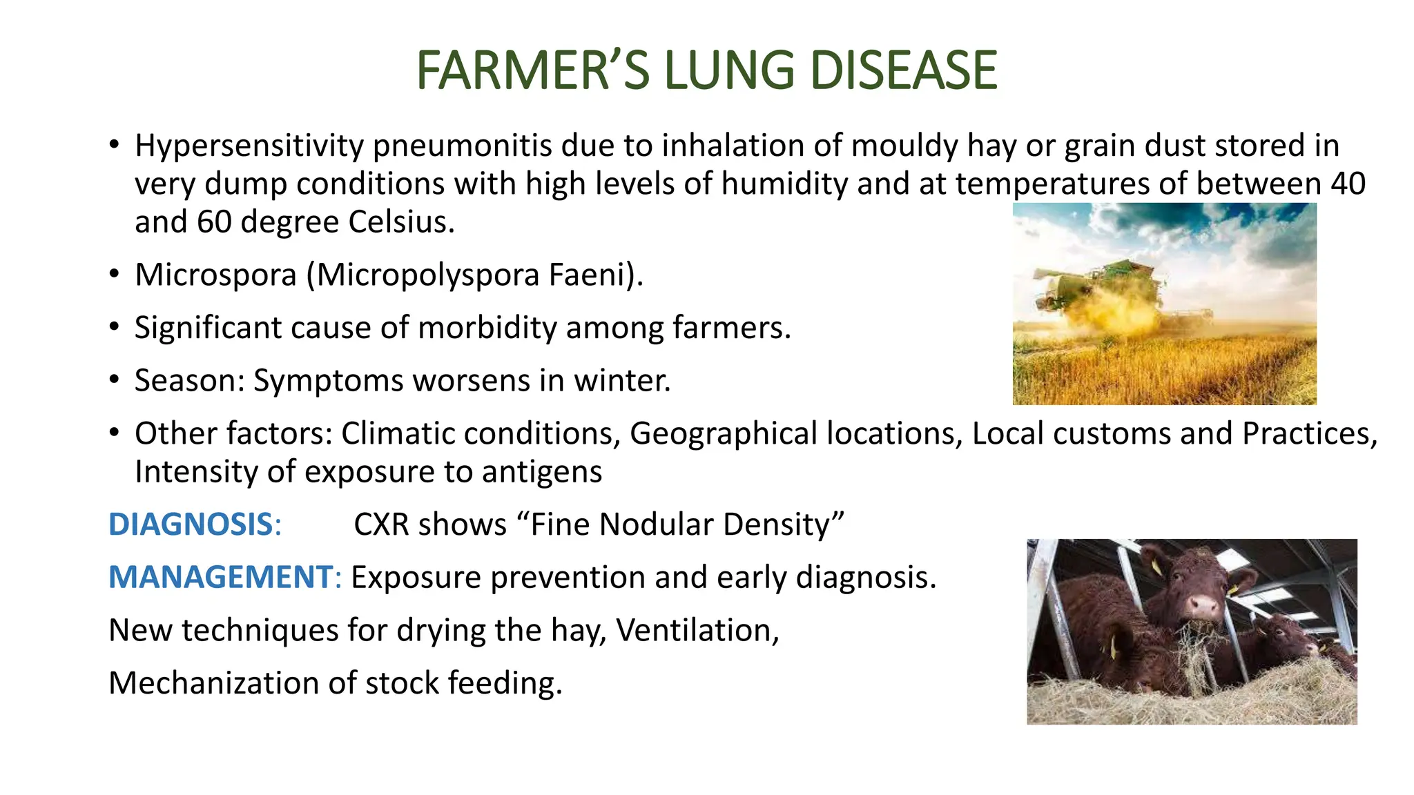 PNEUMOCONIOSIS and its preventive measures.pptx