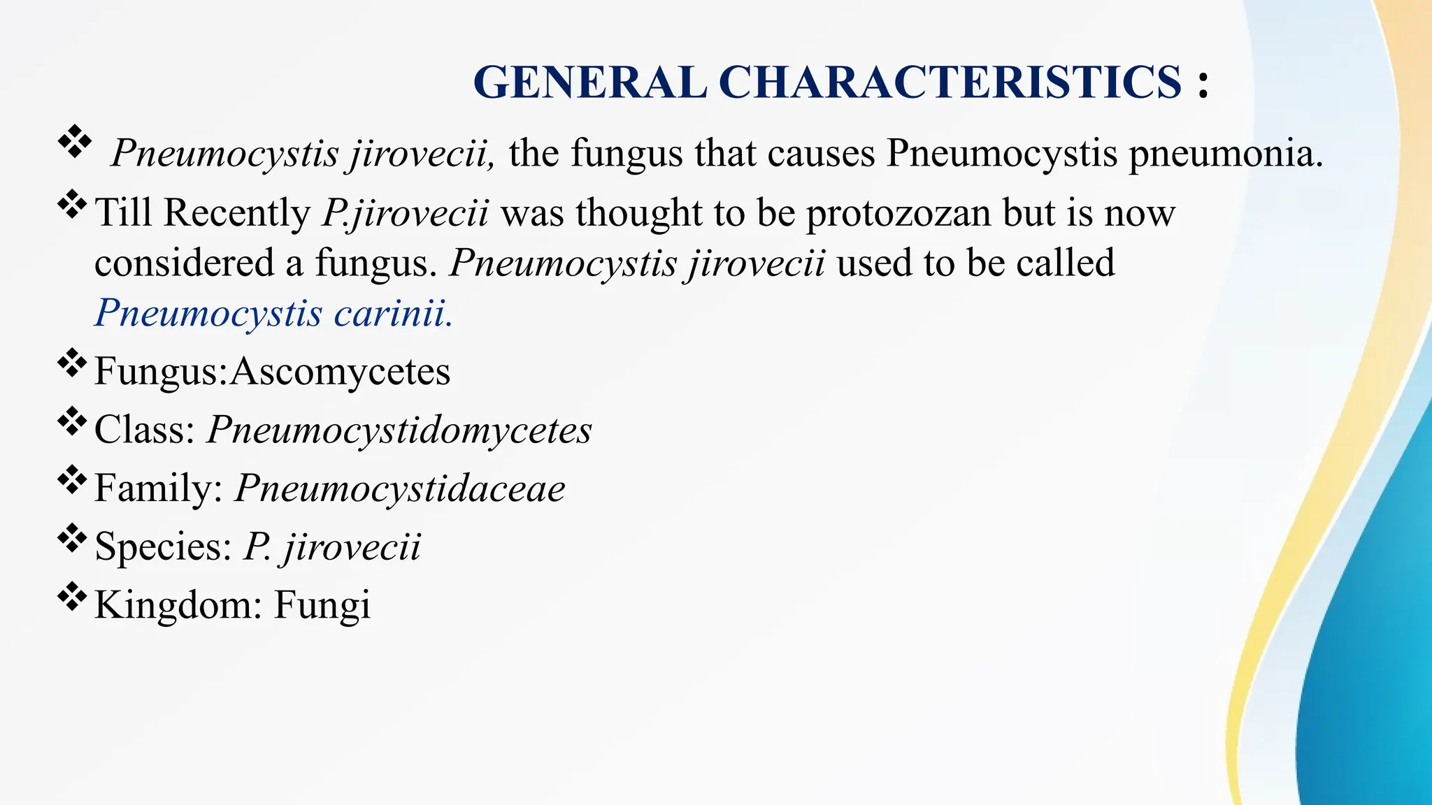 Pneumocystis carinii.pptx Clinical microbiologist | PPTX