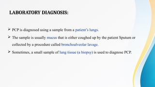 Pneumocystis carinii.pptx Clinical microbiologist | PPTX