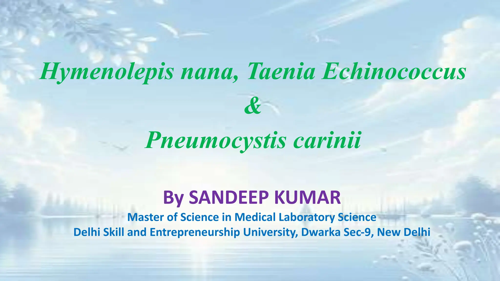 Parasites - Pneumocystis carinii, Taenia Echinococcus, Hymenolepis nana ...