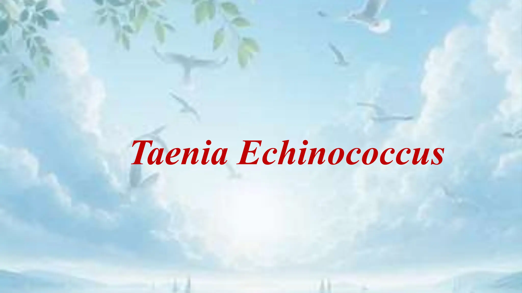 Parasites - Pneumocystis carinii, Taenia Echinococcus, Hymenolepis nana ...