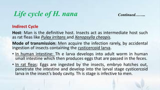 Parasites - Pneumocystis carinii, Taenia Echinococcus, Hymenolepis nana ...