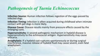 Parasites - Pneumocystis carinii, Taenia Echinococcus, Hymenolepis nana ...