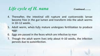 Parasites - Pneumocystis carinii, Taenia Echinococcus, Hymenolepis nana ...