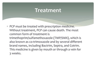 pneumocytis pneumonia.pptx (4).pptx