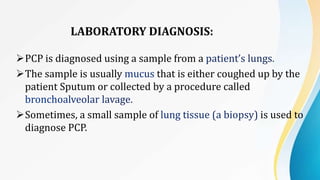 Pneumocytosis jiroveci.pptx