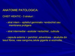 Pneumologie - chistul hidatic | PPT