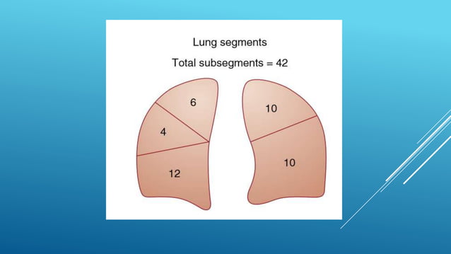 Pneumonectomy | PPT
