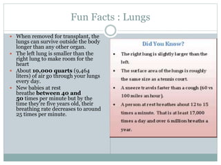 Pneumonia | PPTX