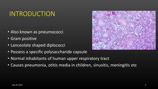 Streptococcus pneumoniae and Pneumonia | PPTX
