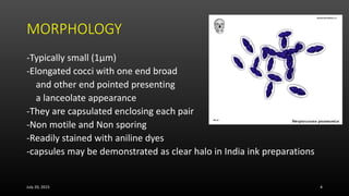 Streptococcus pneumoniae and Pneumonia | PPTX