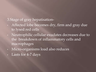Pneumonia | PPTX | Lung and Respiratory Health | Diseases and Conditions