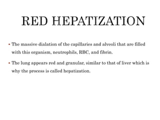 pneumonia-190706120001.pptx. . | PPTX