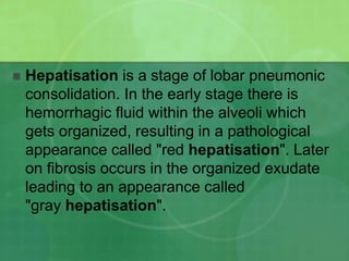 pneumonia an acute respiratory illness and it's types.pptx