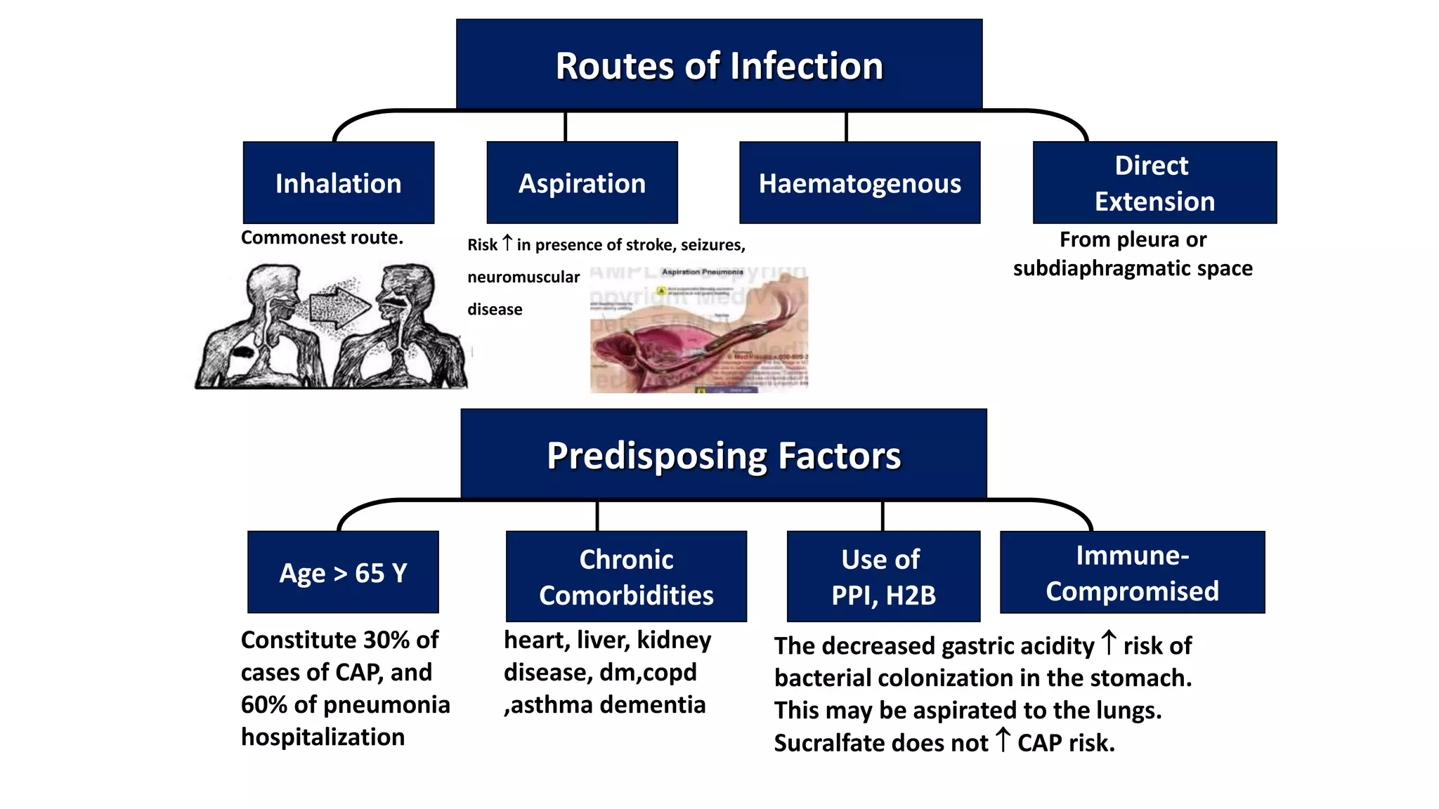 Pneumonia ppt | PPTX