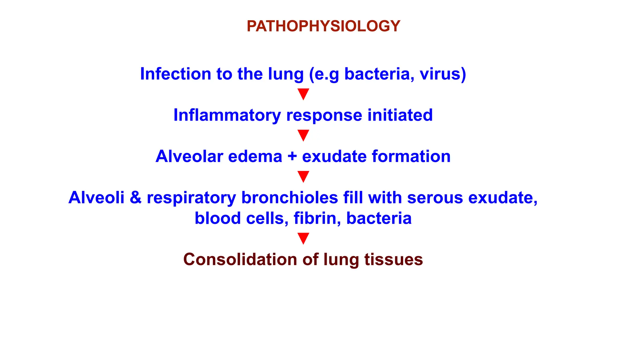 PNEUMONIA. respiratory disease presentation | PDF | Lung and ...