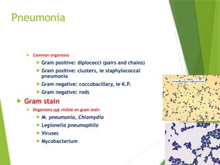 PNEUMONIA information powerpoint education | PPT