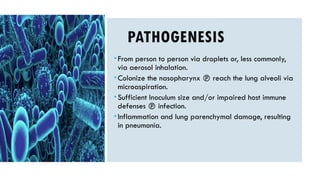 pneumonia Types and Causes, treatment.pptx
