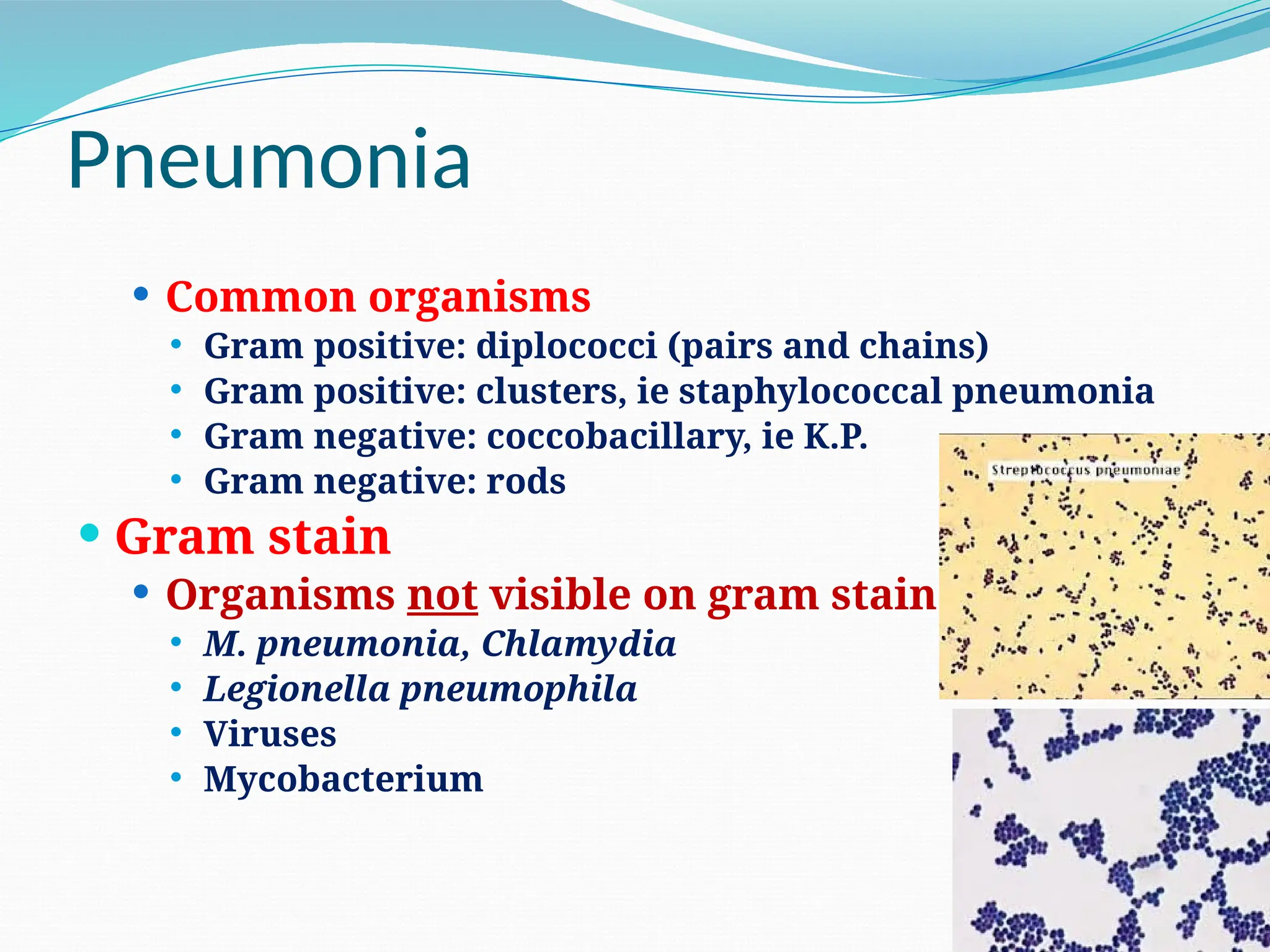 Etiology, pathogenesis, clinical features of pneumonia | PPTX