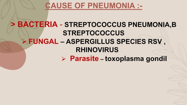 pneumonia , definition, causes , clinical manifestation, management.pptx