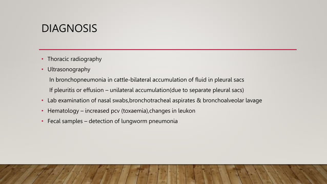 pneumonia in animals.pptx