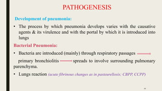 Pneumonia in ruminants.pptx