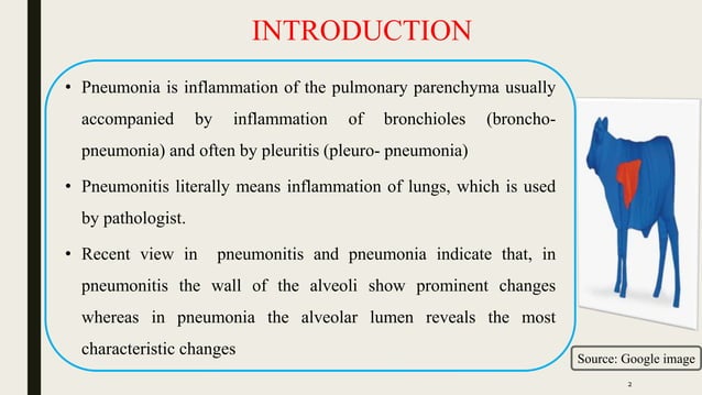 Pneumonia in ruminants.pptx | Lung and Respiratory Health | Diseases ...