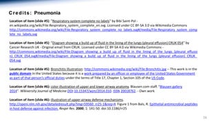 Pneumonia_I_Pathophysiology_and_Clin_Presentation.pptx
