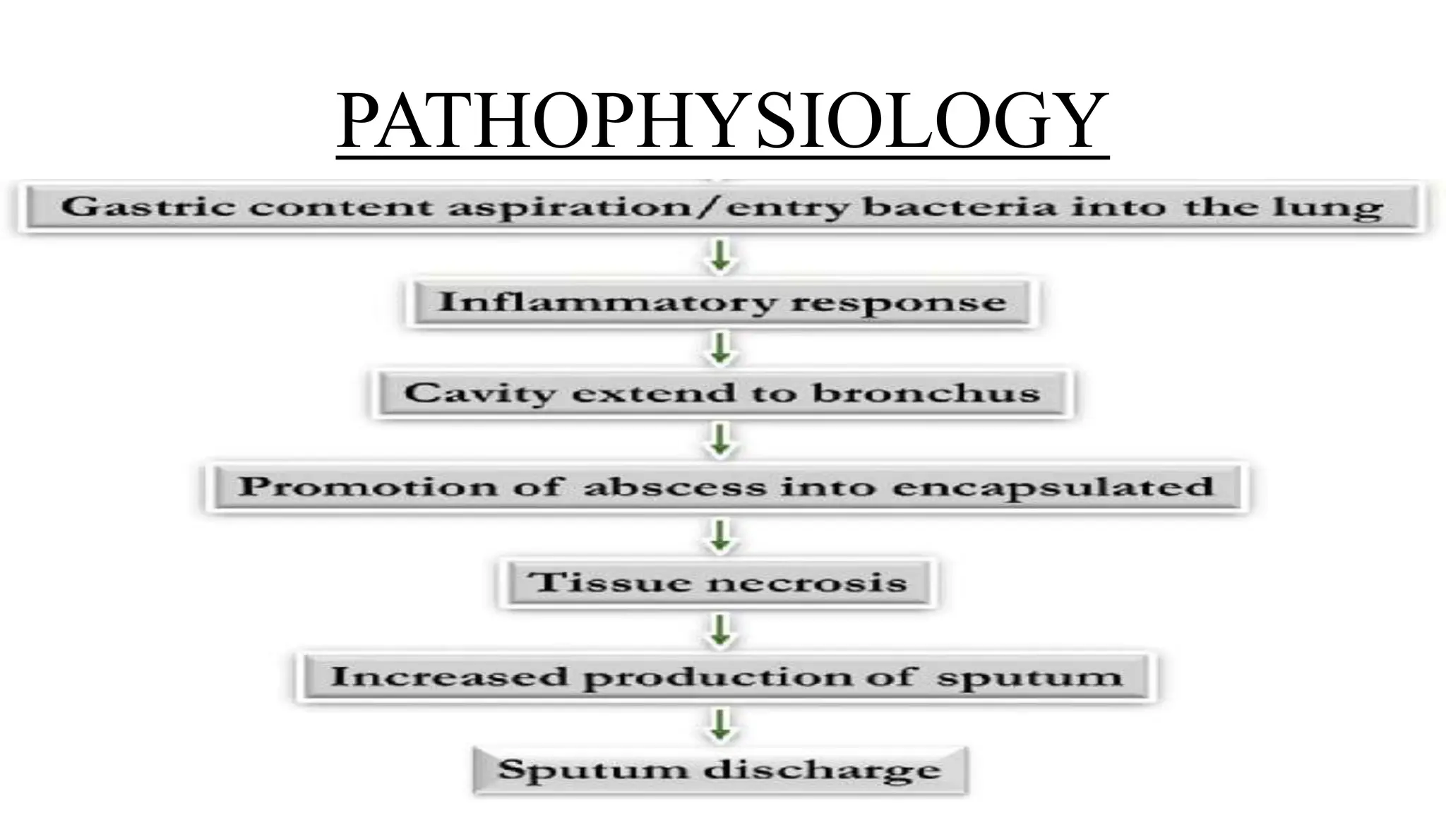 pneumonia respiratory system disease for Nursing | PPT