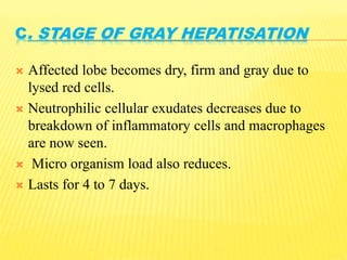 Pneumonia ppt | PPTX