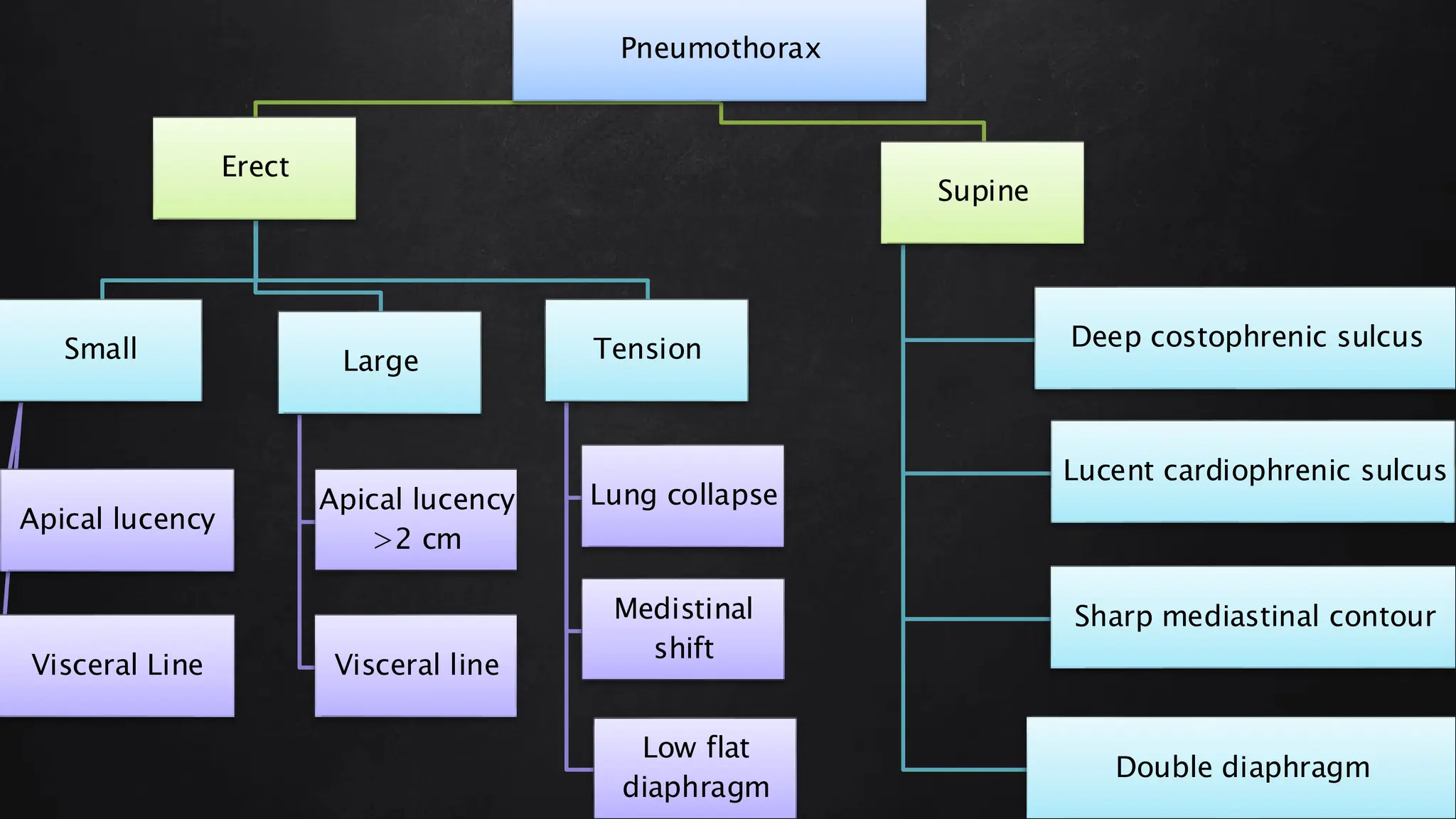 Respiratory System - Approach to Pneumothorax | PDF