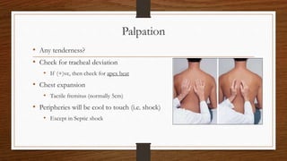 Pneumothorax ABC Assessment | PPTX