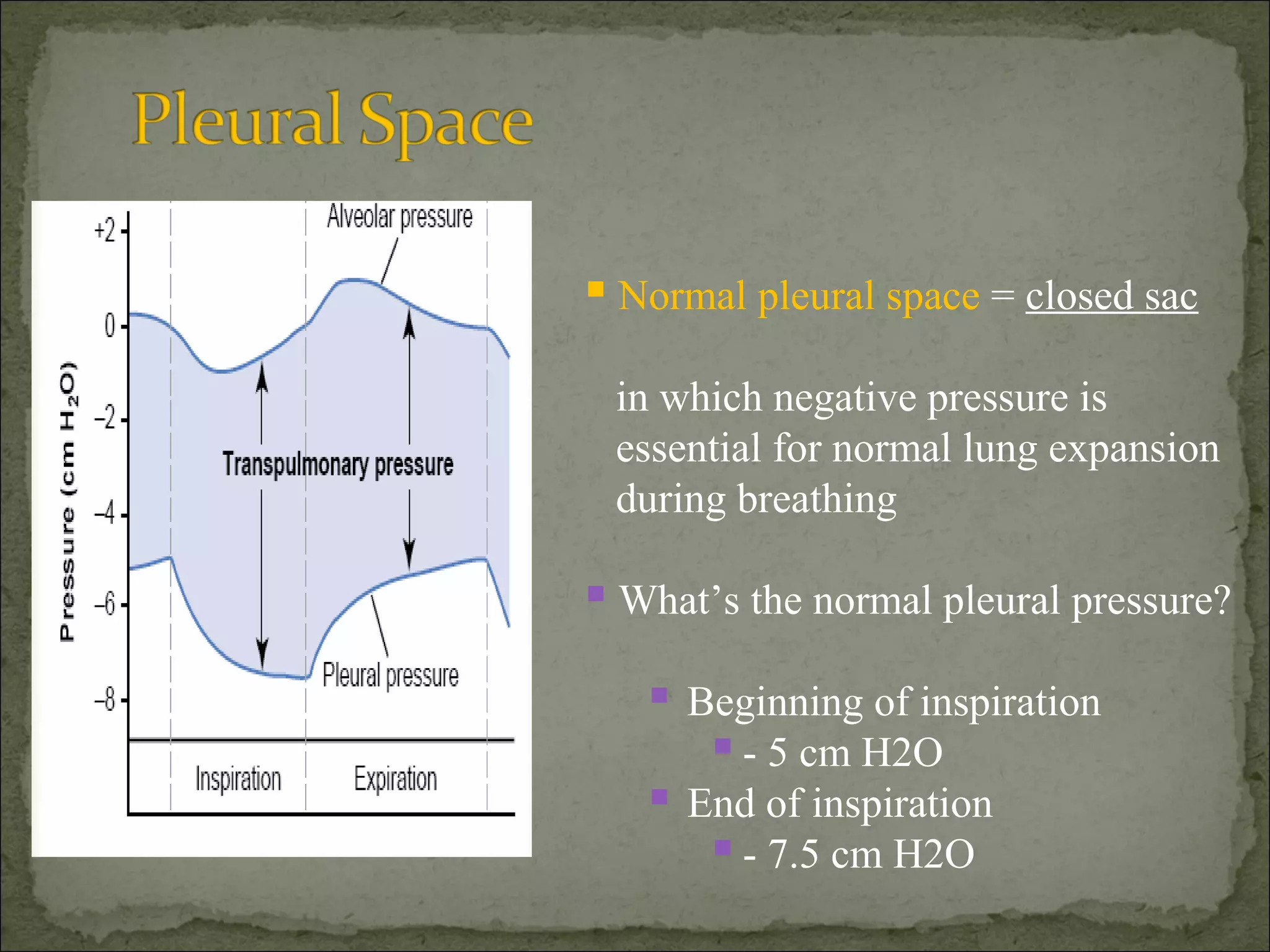 Pneumothorax class | PPT