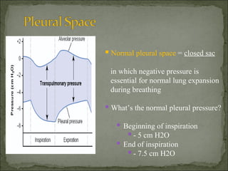 Pneumothorax class | PPT