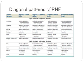 pnf-1.pptx | Physical Therapy | Wellness