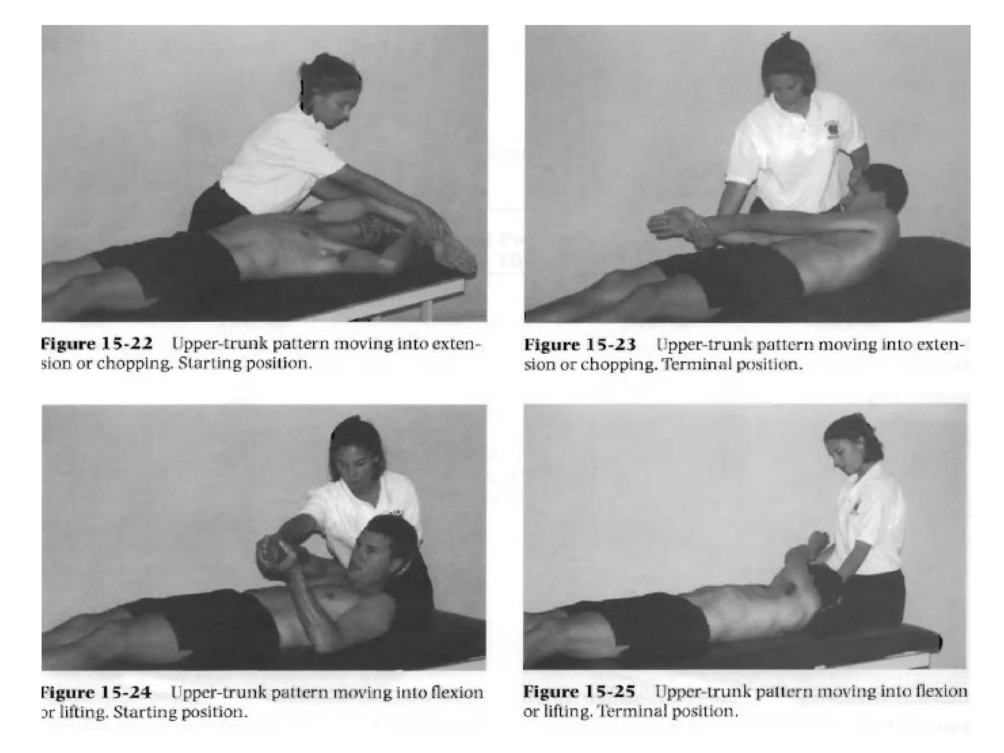 pnf-130120054823-phpapp02.pptx pnf neuro rehabilitation | PPTX