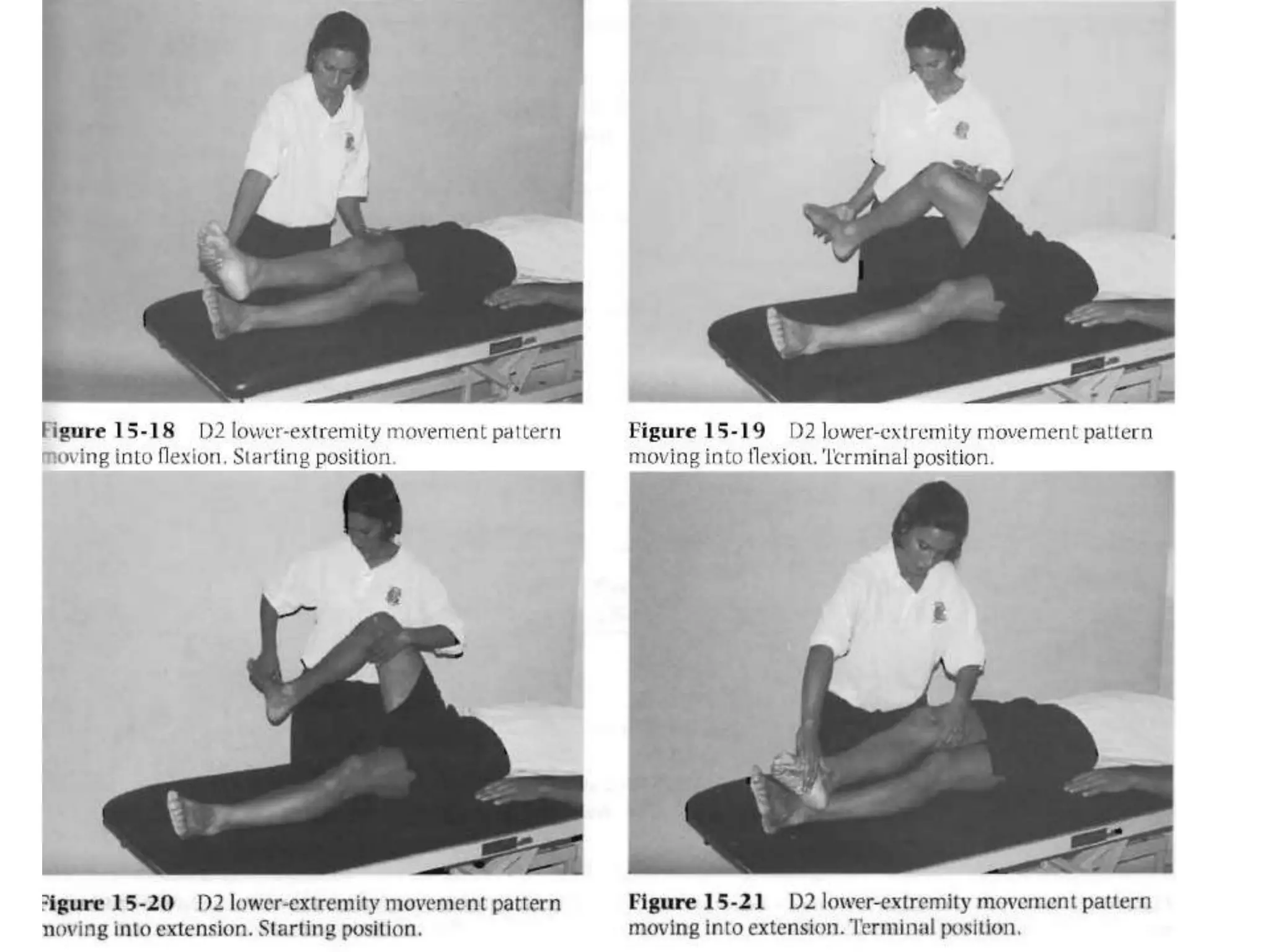 Proprioceptive neuromuscular facilitation | PPTX