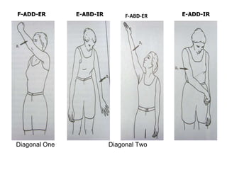 Pnf Upper Extremity Exercises