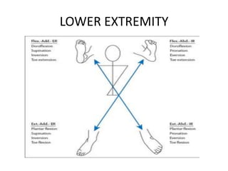 Upper Extremity Proprioceptive Neuromuscular Facilitation