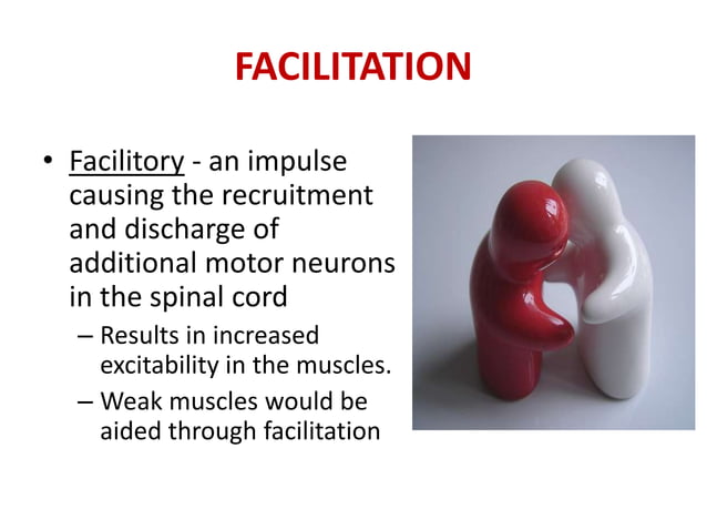 Proprioceptive Neuromuscular Facilitation