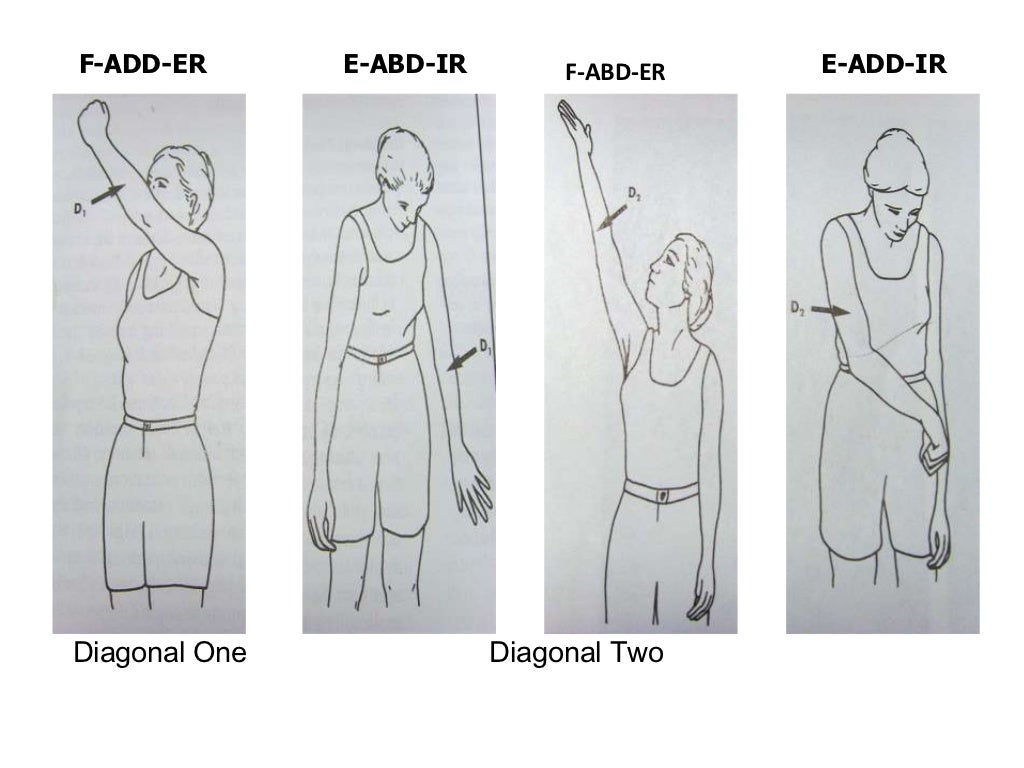 Proprioceptive neuromuscular facilitation