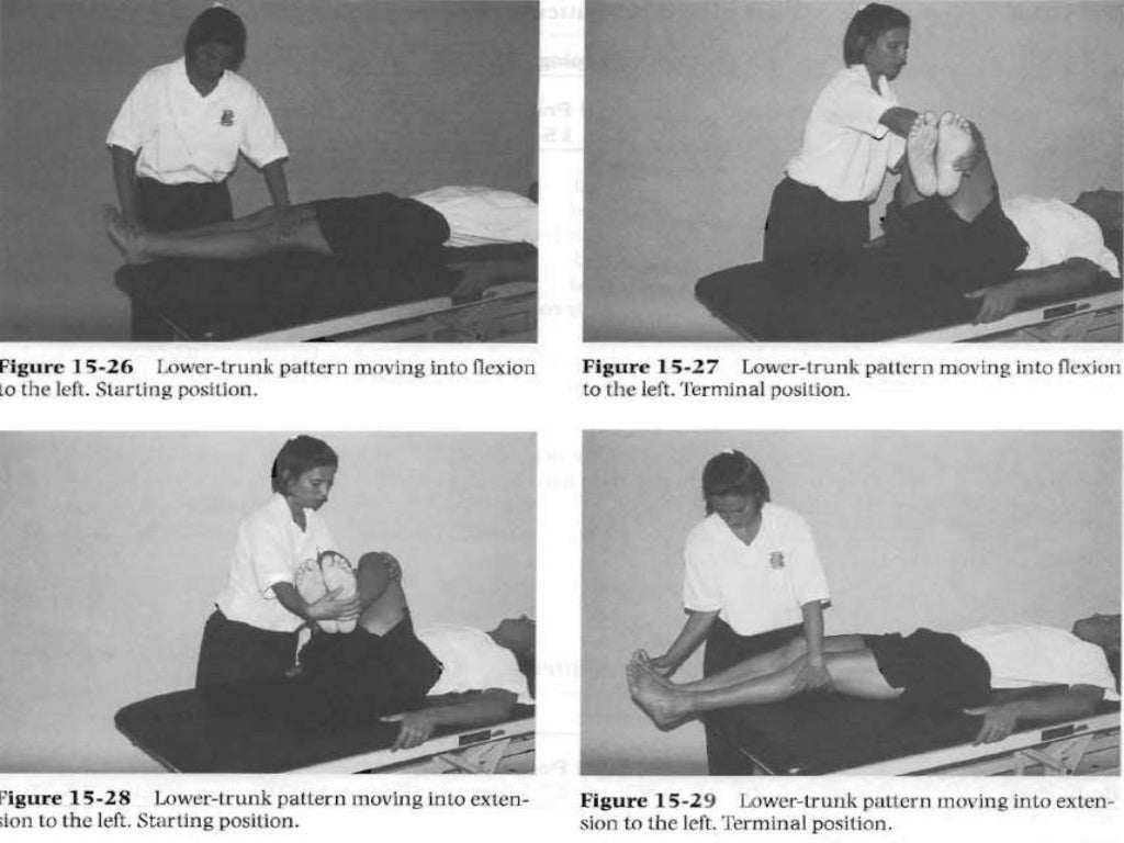 Proprioceptive neuromuscular facilitation